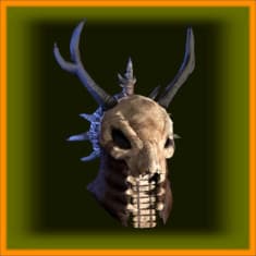 Summon Bear Beastmaster Endgame Build | Action RPG